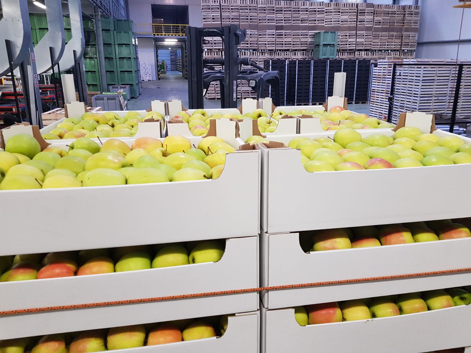 Nuestros productos – UNIFRESH